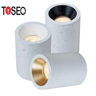 China Pure Aluminium Waterproof Ip65 Downlight Gu10 Anti Surface Mounted Cob for sale