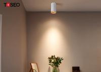 China White Surface Mounted Downlight Gu10 3W 5W 6W 7W For Showroom for sale