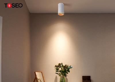 China White Surface Mounted Downlight Gu10 3W 5W 6W 7W For Showroom for sale