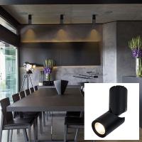 China COB 220V Ceiling Cylinder Surface Mounted Downlight For Showroom for sale