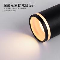 China Restaurant Ceiling Mount Track Lighting GU10 Modern Black Track Lighting 35w for sale