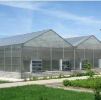 China Snow Resistant Agriculture Polycarbonate Aluminum Frame PC Sheet Greenhouse For Strawberry for sale