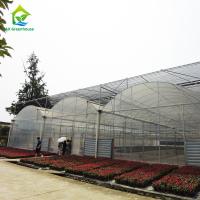 China Dome Arch Multi Span Plastic Film Greenhouse For Large Area Farm Growing for sale