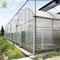 China Hot Dip Galvanized Steel Frame Multi Span Greenhouse For Tomatoes And Cucumbers for sale