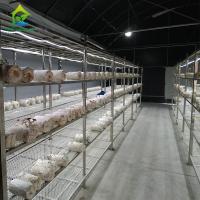 China Comercial Full Dark Light Deprivation Greenhouse Hot Galvanized for sale