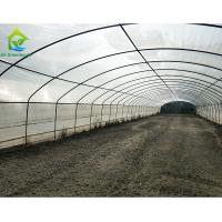 China Commercial Single Span Poly Tunnel Greenhouse For Tomatoes for sale