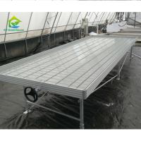 China Ebb Flow Hydroponic Soilless Culture Rolling Bench Grow Table Seedling Seedbed for sale