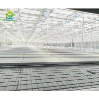 China Ebb And Flow Vertical Grow Rack System Rolling Bench Flood Table for sale