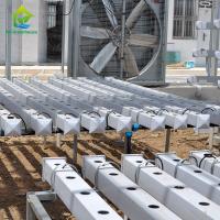 China Strawberry NFT Hydroponics System Soilless Growing PVC Pipe / Channel For Lettuce for sale