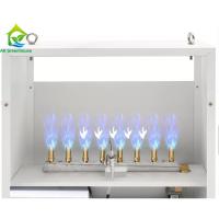 China OEM Greenhouse Carbon Dioxide Generator For Plants Grow Room for sale