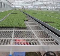 China Nursery Seed Grow Bed Commercial Mesh Grow Table Rolling Benches For Greenhouse for sale