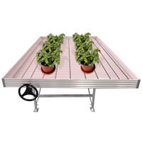 China Movable Hydroponic Ebb And Flood Customized Greenhouse Rolling Benches Seedbed for sale