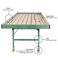 China Movable Hydroponic Ebb And Flood Customized Greenhouse Rolling Benches Seedbed for sale