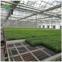 China Space Saving Easy Installation Commercial Greenhouse Wire Mesh Tables Greenhouse Rolling Bench for sale