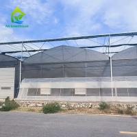 China Multi Span Custom Poly Tunnel Vegetable Film Greenhouses With Irrigation System for sale