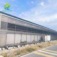 China Commercial Agricultural Multi Span Plastic Film Greenhouse With Shade Net for sale