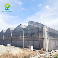 China Commercial Agricultural Multi Span Plastic Film Greenhouse With Shade Net for sale