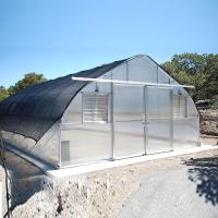 China Single-span Tropical UV Treated Plastic Film Greenhouse for sale