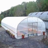 China Single-span Tropical UV Treated Plastic Film Greenhouse for sale