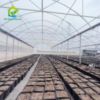China Plastic Poly Tunnel Agricultural Multi-span Blueberry Customized Greenhouse for sale