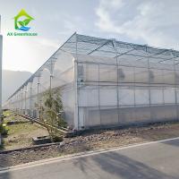 China Plastic Poly Tunnel Agricultural Multi-span Blueberry Customized Greenhouse for sale