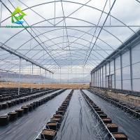 China Customized Frame Plastic Film Agricultural Poly Tunnel Multi-span Greenhouse For Sale for sale