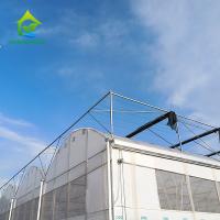 China Customized Frame Plastic Film Agricultural Poly Tunnel Multi-span Greenhouse For Sale for sale