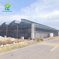 China Customized Frame Plastic Film Agricultural Poly Tunnel Multi-span Greenhouse For Sale for sale