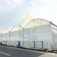 China Multi-span Film Blackout Greenhouse for Year-Round Vegetable Cultivation for sale