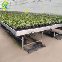 China Ebb And Flood Hydroponic Movable Table Rolling Bench For Growing Plants In Greenhouse for sale