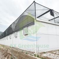 China Large Multi-span Plastic Film Poly Tunnel Greenhouse For Blueberry Planting for sale