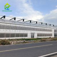 China Large Multi-span Plastic Film Poly Tunnel Greenhouse For Blueberry Planting for sale