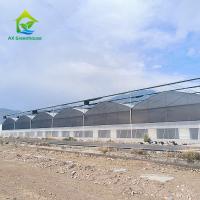 China Large Multi-span Plastic Film Poly Tunnel Greenhouse For Blueberry Planting for sale