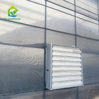 China Large Multi-span Plastic Film Poly Tunnel Greenhouse For Blueberry Planting for sale