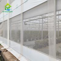 China Multi Span Tropical Metal Frame Structure Tomato Poly Tunnel Greenhouse For Fruits Vegetables for sale
