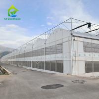 China Multi Span Tropical Metal Frame Structure Tomato Poly Tunnel Greenhouse For Fruits Vegetables for sale