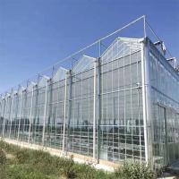 China Venlo Commercial Polycarbonate PC Sheet Agricultural Large Tunnel Greenhouse for sale