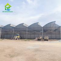 China Tropical Small Tunnel Film Plastic Tunnel Agricultural Greenhouses For Tomato for sale
