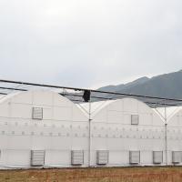 China Multi Span Custom Poly Tunnel Vegetable Film Greenhouses With Irrigation System for sale