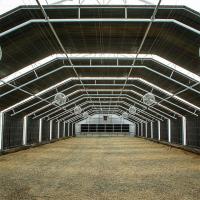 China Commercial Multi-span Polytunnel Light Deprivation Greenhouse With Shade Net for sale