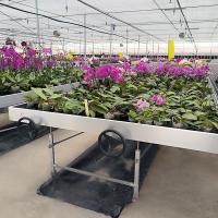 China Durable Abs Soilless Culture Ebb Flow Seedling Greenhouse Rolling Benches For Flowers for sale