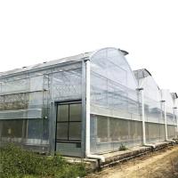 China Agricultural Polyhouse Multi-span Plastic UV Film Greenhouse Drying House For Flowers for sale