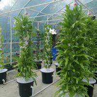 China Soilless Petal 12 Layers Hydroponic System Grow Tower With Light For Lettuce for sale