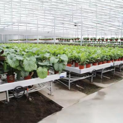 China Soilless Culture Greenhouse Indoor Custom Ebb Grow Table Rolling Bench For Seed for sale