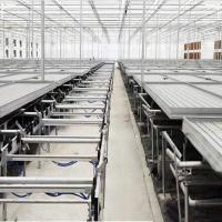 China Custom Size Greenhouse Grow Table Hydroponic Ebb Flood Rolling Bench VerticSeedbed for sale