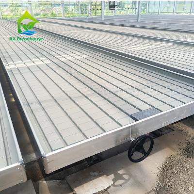 China Movable Hydroponic Ebb And Flood Customized Greenhouse Rolling Benches Seedbed for sale