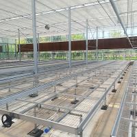 China Heavy Duty Ventilated Wire Mesh Commercial Greenhouses Tables for Plant Seedling Raising for sale