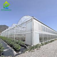 China Plant Cultivation With Plastic Film Covered Multi Span Greenhouse And Irrigation System for sale