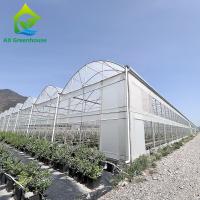 China Multi-span Agricultural Plastic Film Vegetable Fruit Tunnel Greenhouse for sale