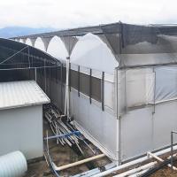 China Hot Galvanized Steel Pipe Nursery Multi-span Panda Film Blackout System Mushroom Tropical Greenhouse for sale